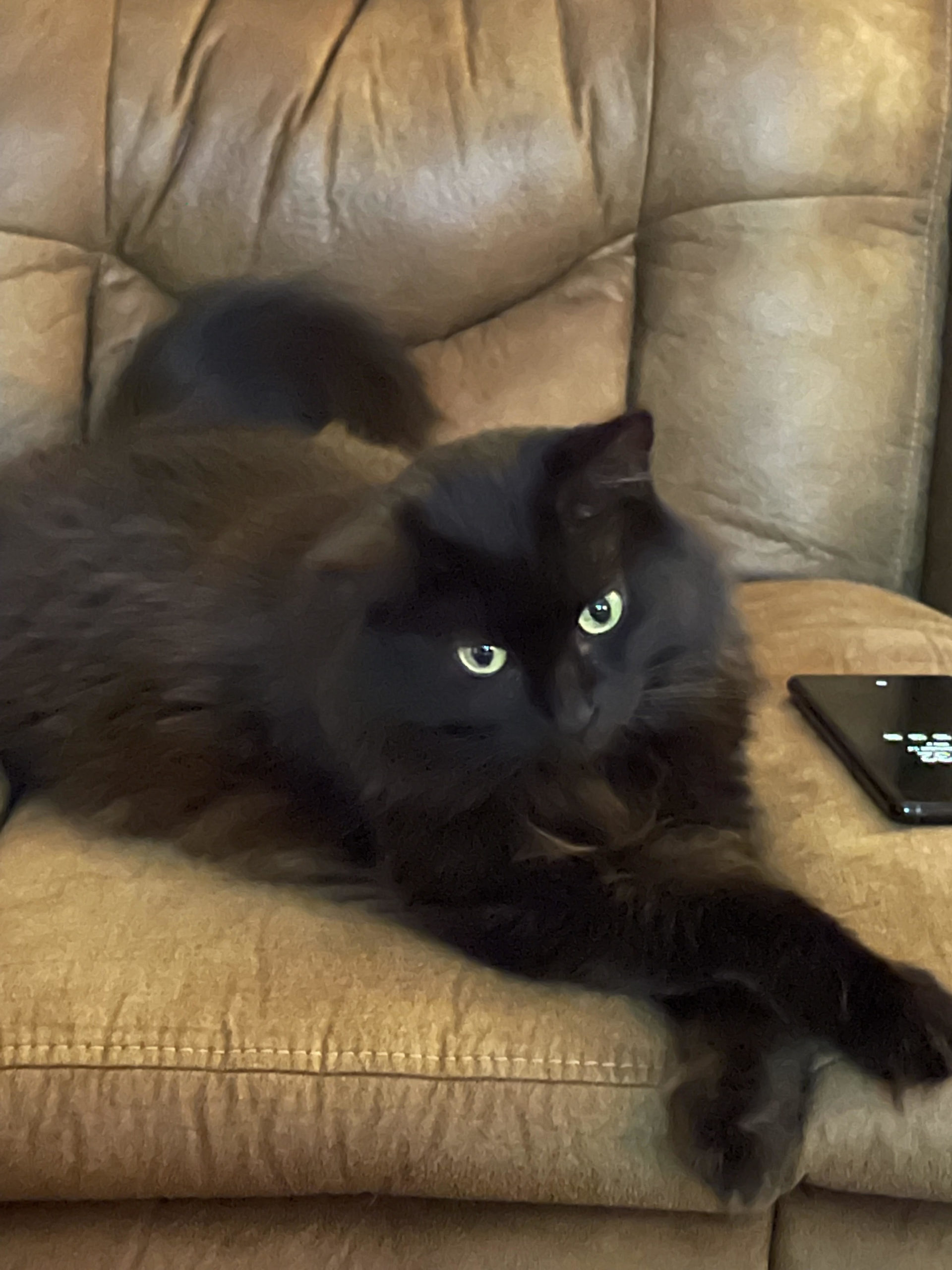 Home - Rolling Along With The Reynolds